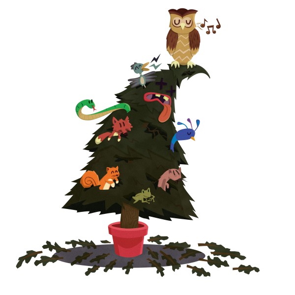 Giving your evergreens a home: Wildlife Haven to use donated Christmas ...