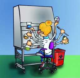 A day in the life of an undergraduate researcher: Cell culture – The ...