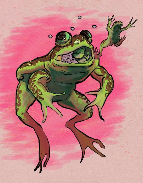 Freaks of Nature: The gastric-brooding frog | The Manitoban