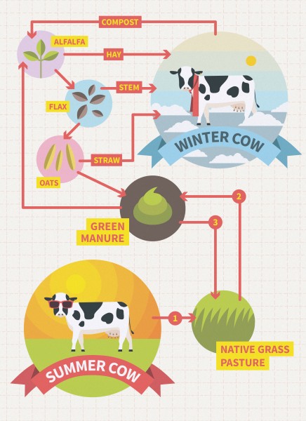 Organic from roots to ruminants | The Manitoban