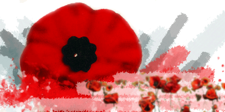 The journey of the poppy | The Manitoban
