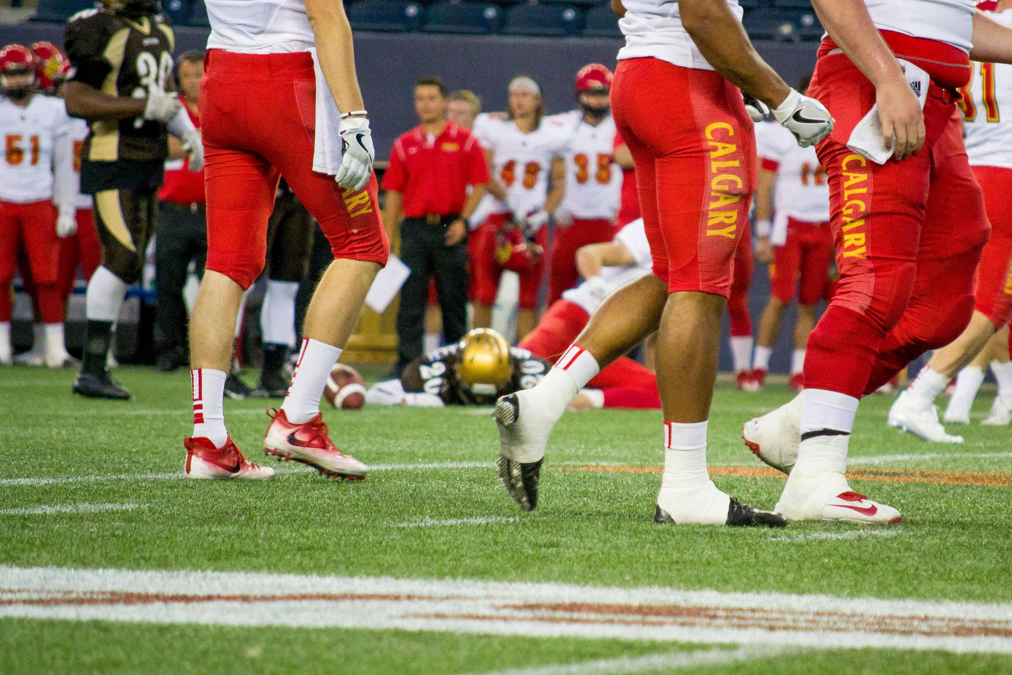 Bisons get stomped by Dinos in Calgary | the Manitoban