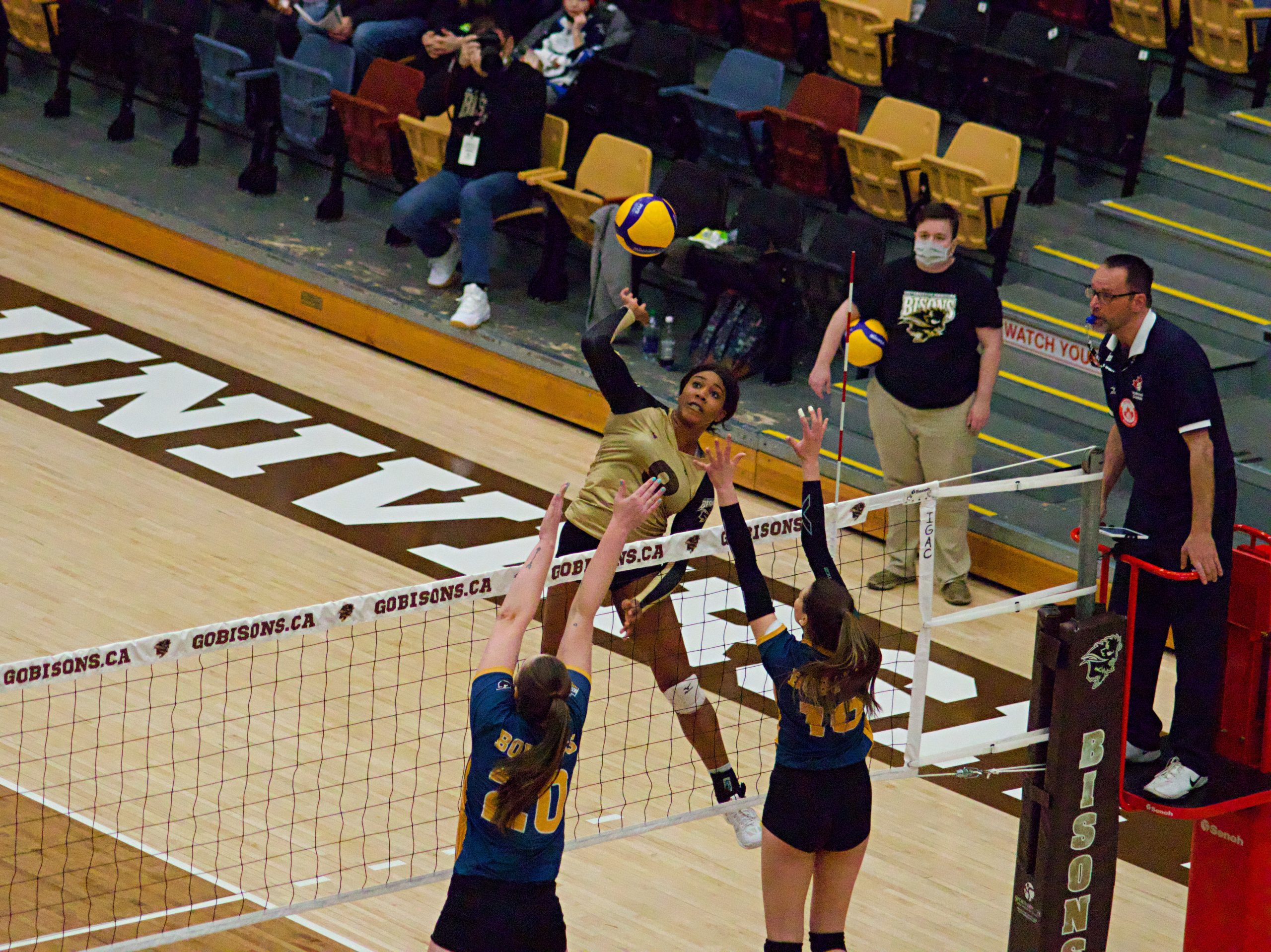 Rollercoaster home openers | The Manitoban