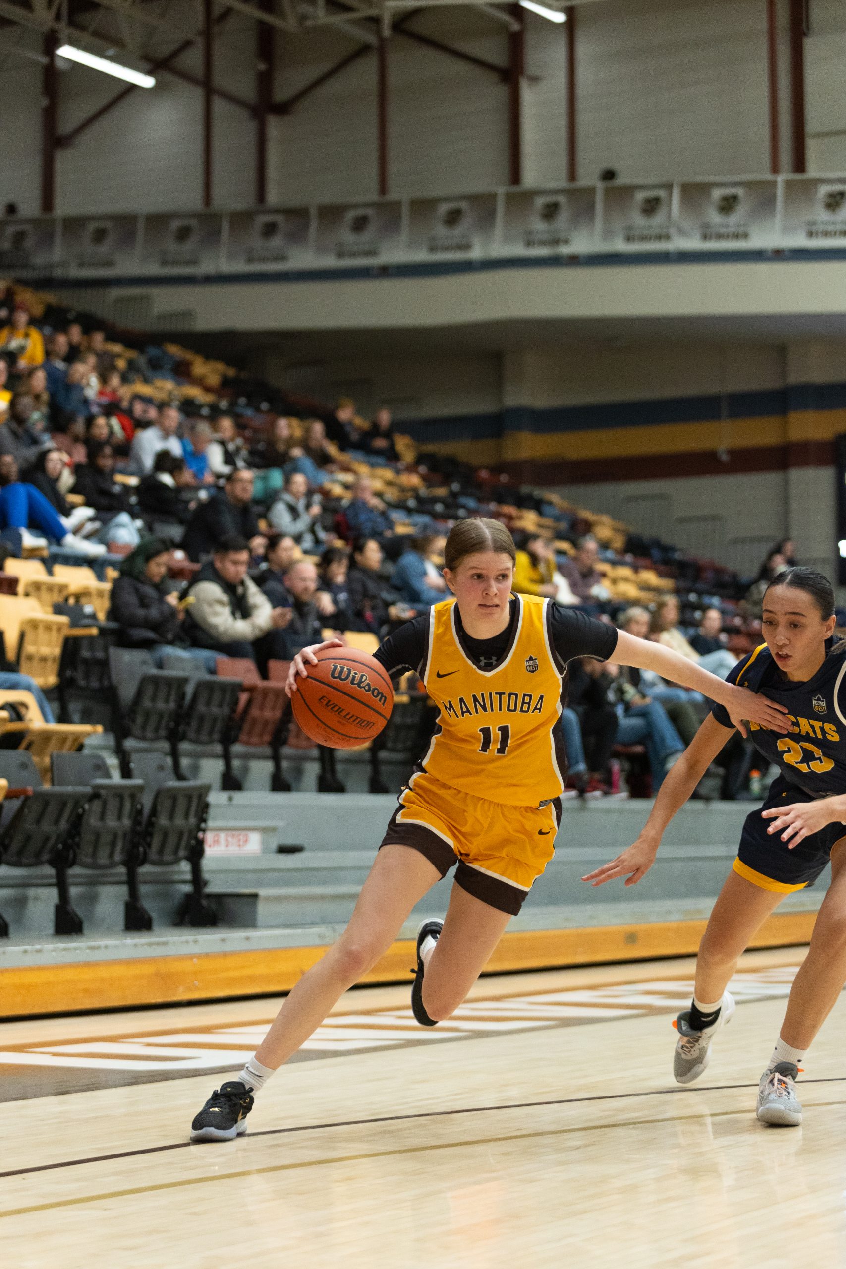 Thrilling Bisons basketball season openers | The Manitoban