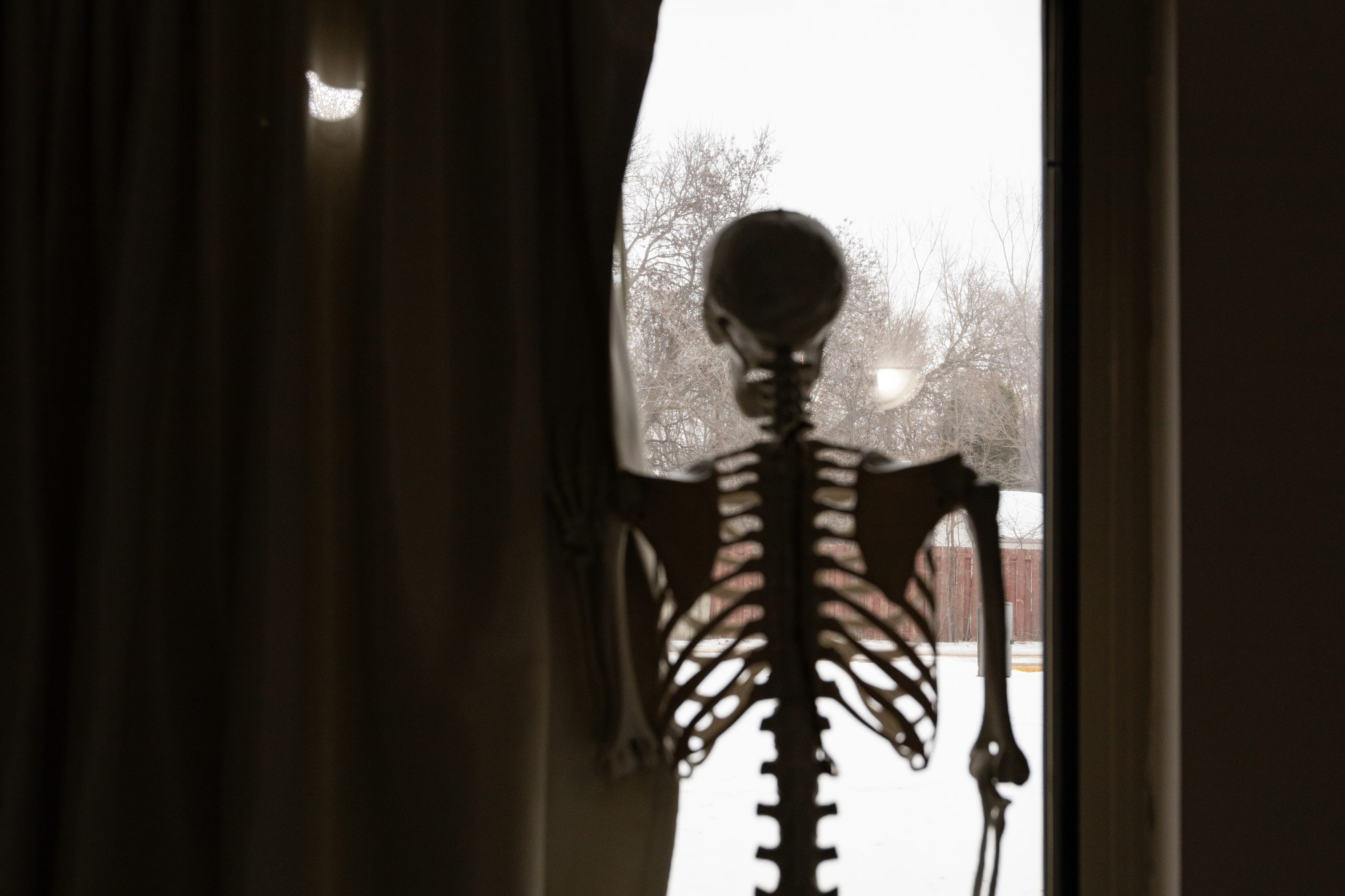 The fragility of life | The Manitoban