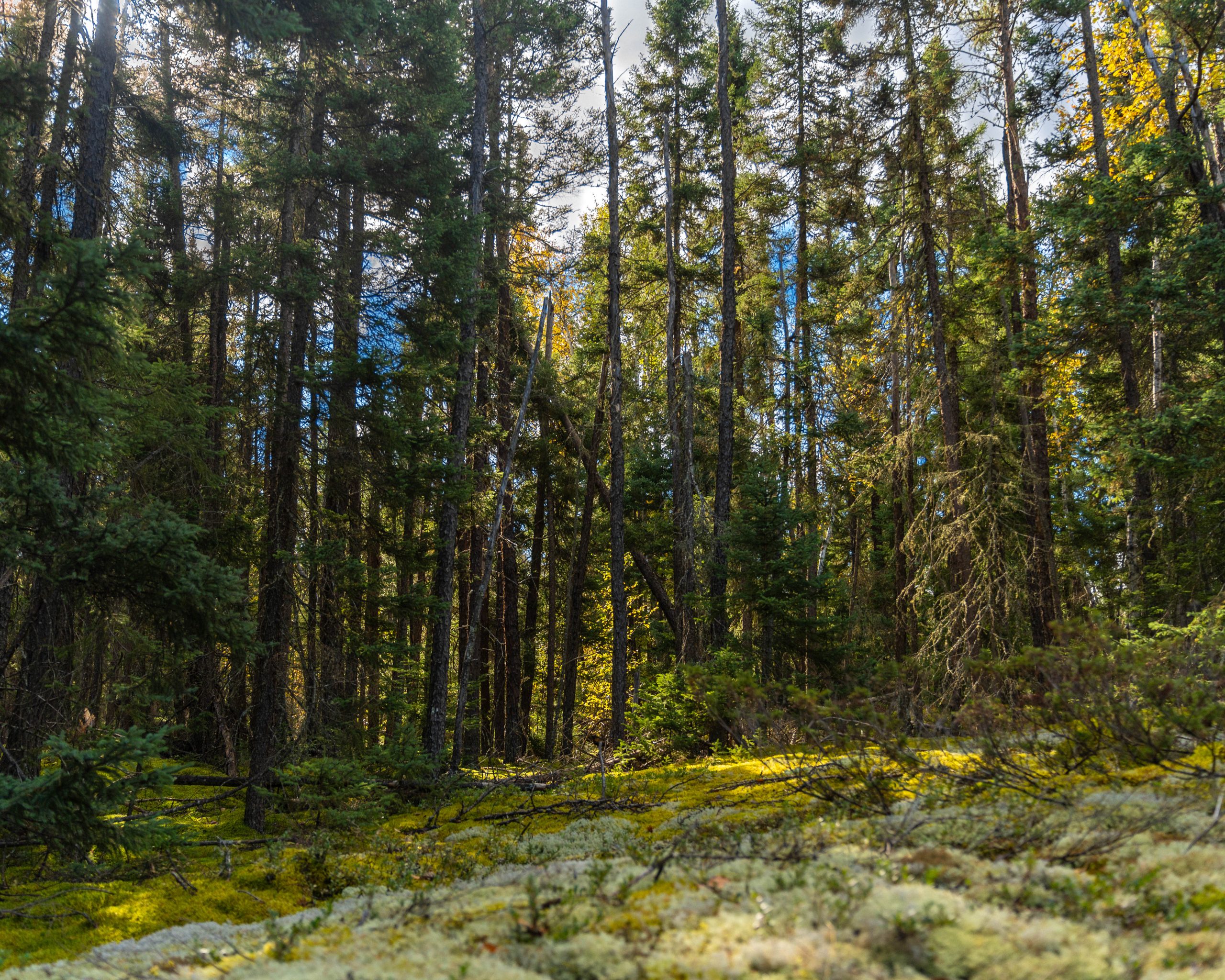 Young Nature Leaders Grant now open | The Manitoban