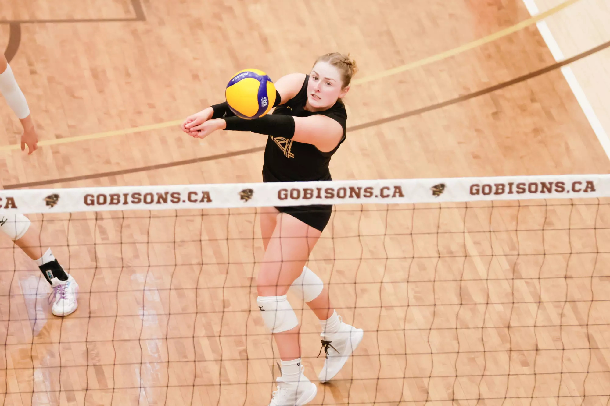 Julia Arnold leads the national rankings | The Manitoban