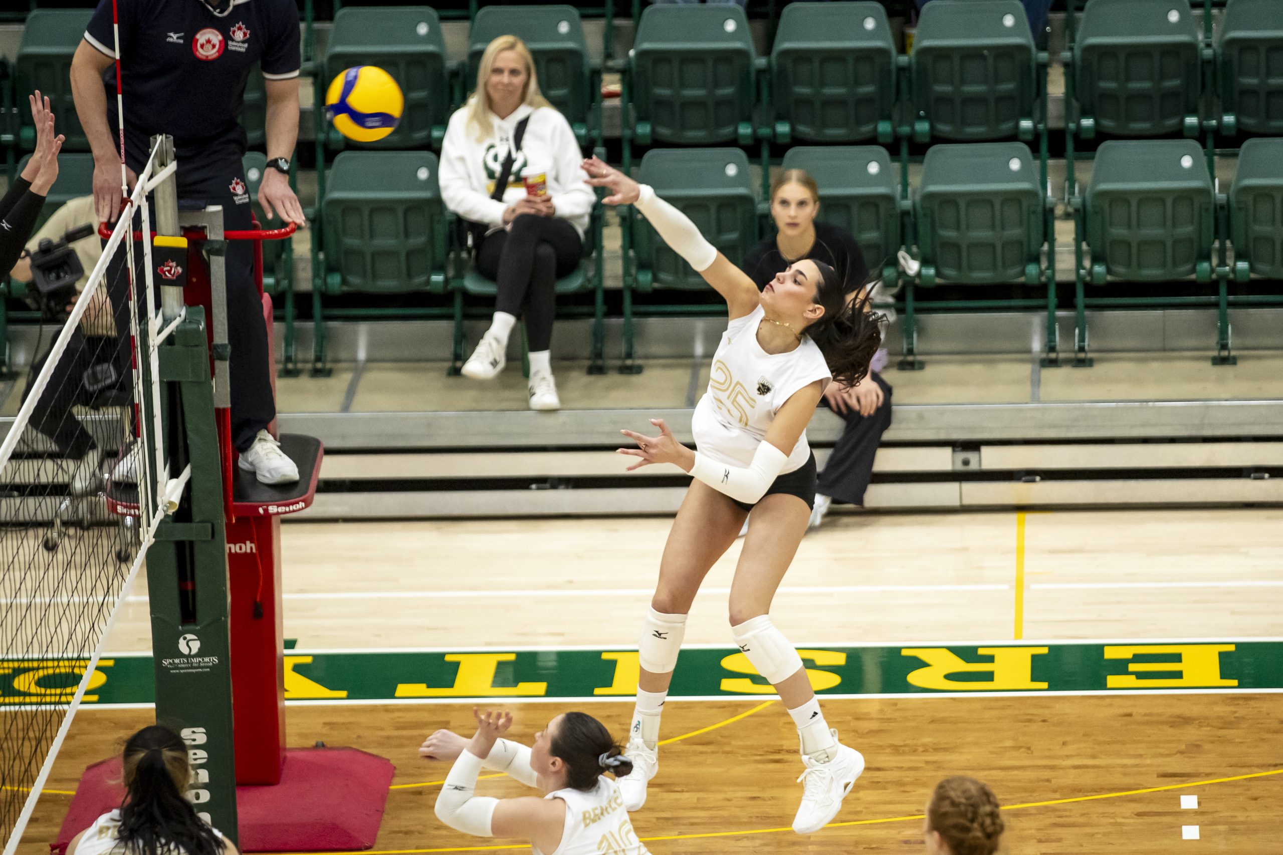 The Bisons fall to the Pandas in semifinals | The Manitoban