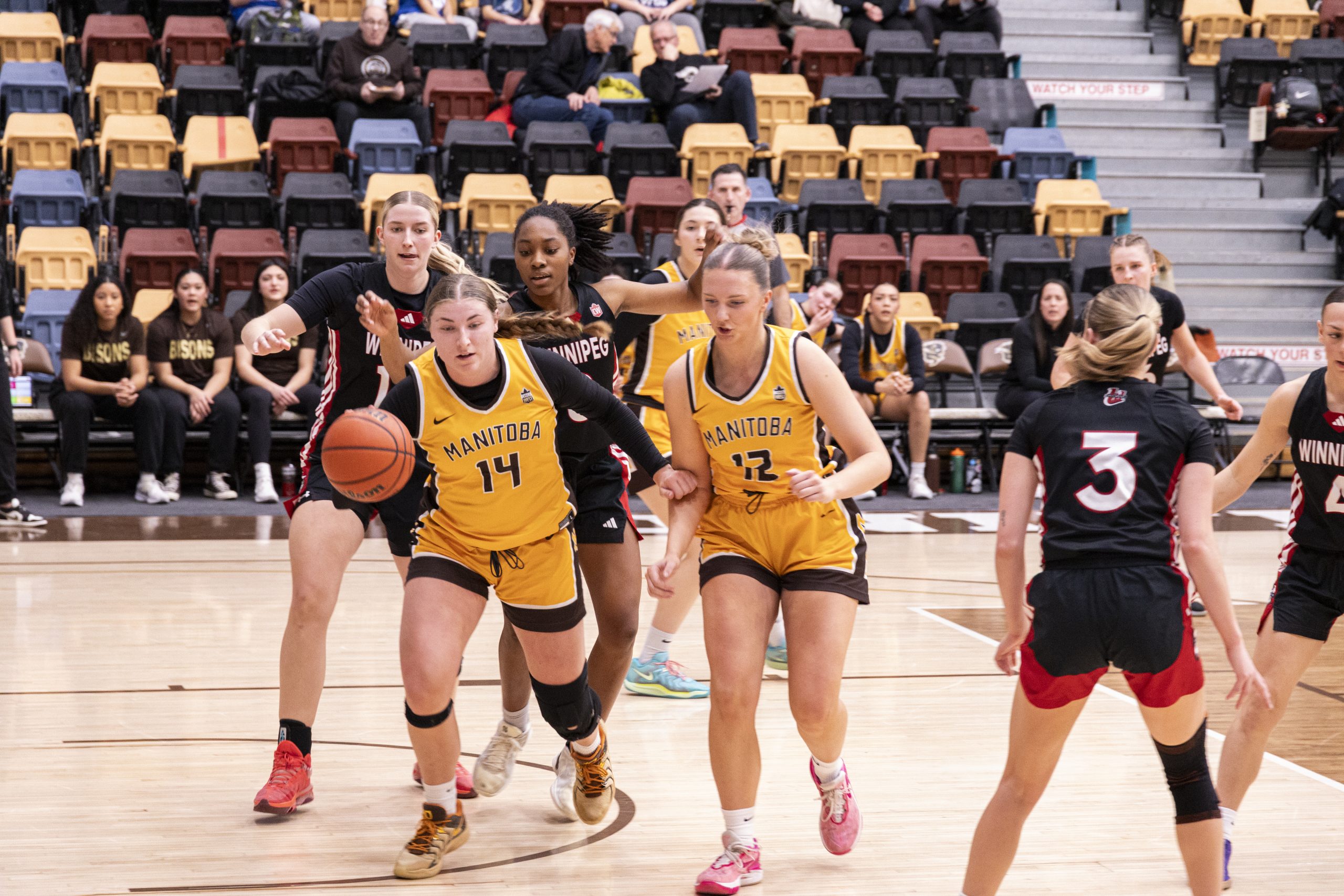The Bisons finish season after one-match playoff game | The Manitoban