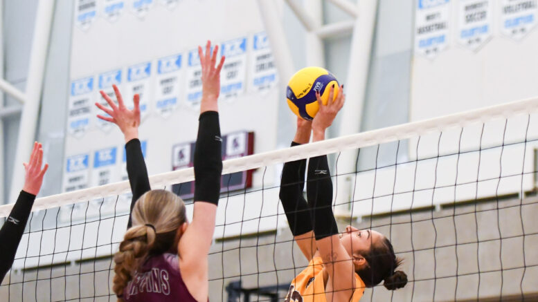 Bisons unleash the bison on Griffins – The Manitoban